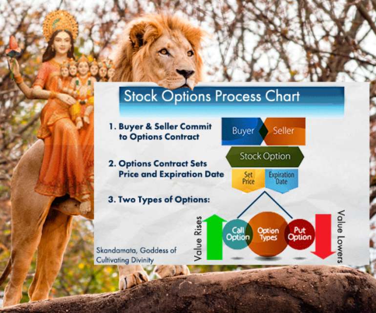 Financial Workshop Ch 7: Other Investments on the Path to Perfection ...