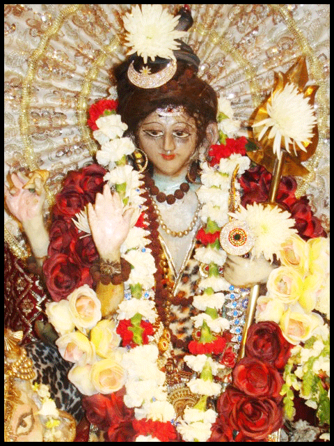 Shree Maa and Swamiji's Sankalpa Modification - Devi Mandir